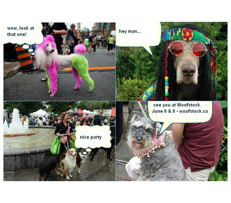 Pet Comics Contest - Giant Step